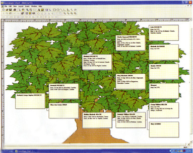 Genealogy Reviews - RootsMagic version 3 UK Edition, Tried and Tested!